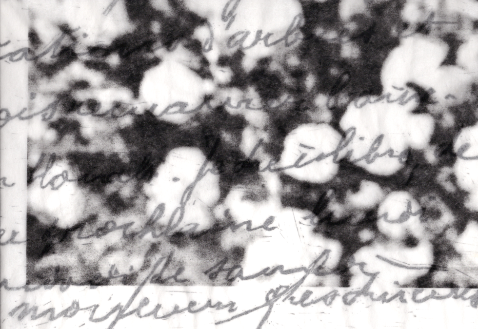 EXPO « BORDS PERDUS » Marie Bonnin à la Maison Losseau du 6 novembre ...